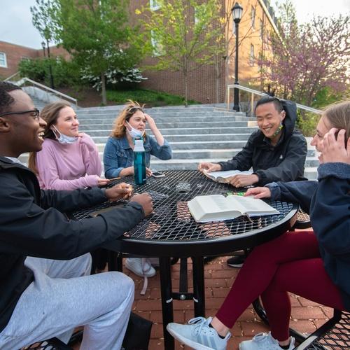 Small Group Bible Study Collection | InterVarsity